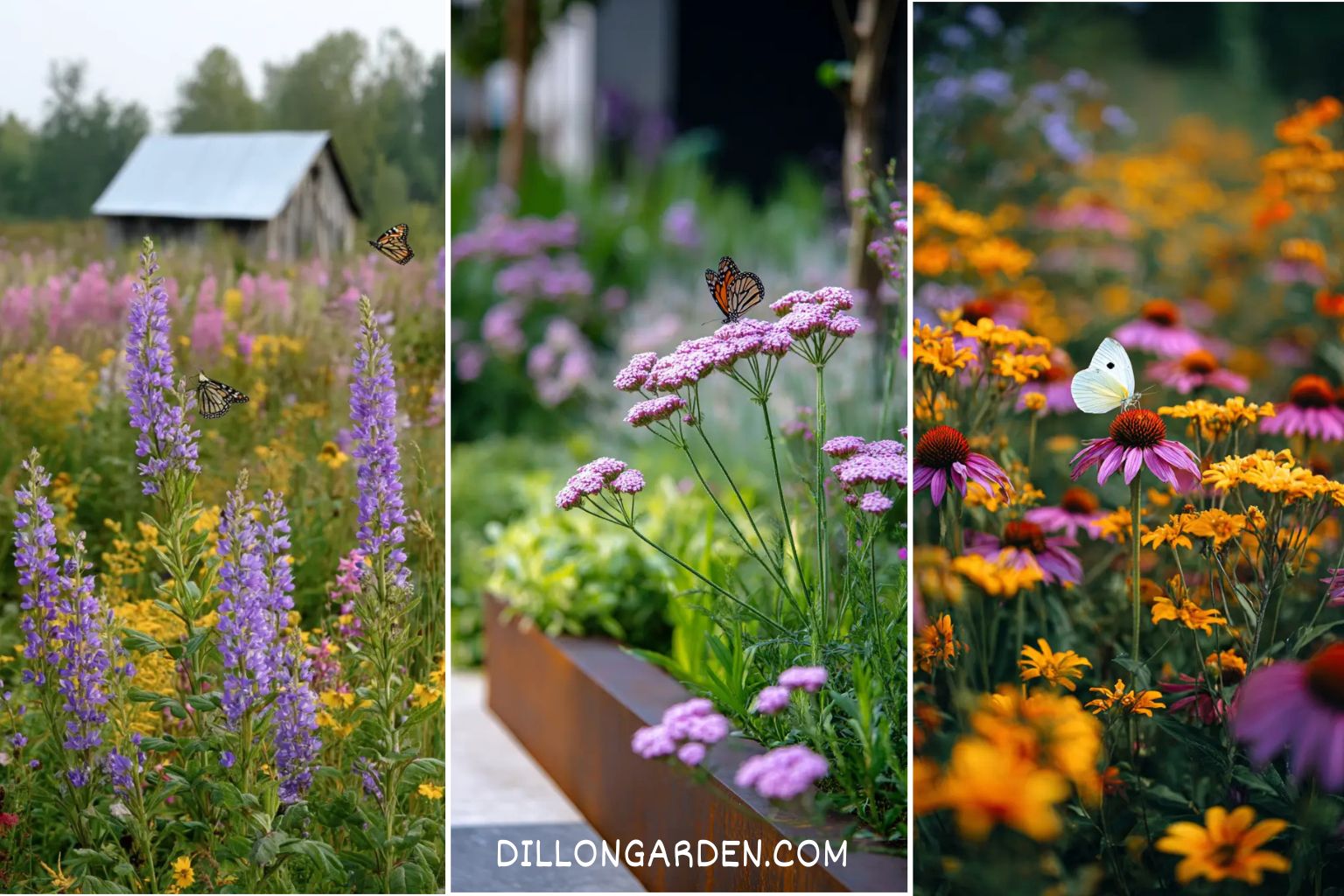 20 Butterfly Gardens Ideas That Will Make Your Backyard Flutter