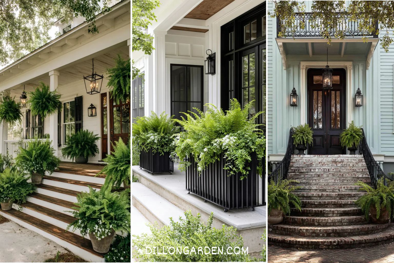 20 Front Porch Fern Ideas That Soften Your Entrance
